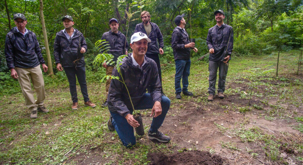 Compromiso sustentable: Mercedes-Benz plantará un árbol por cada unidad ...